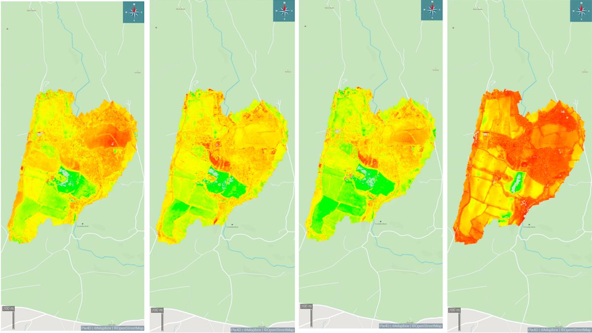 Using PIX4Dfields for multispectral conservation mapping | Pix4D