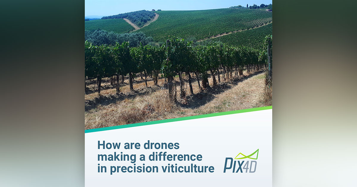 How are drones making a difference in precision viticulture | Pix4D