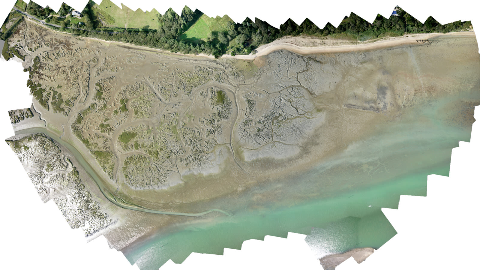 Aerial mapping of coastal ecosystems for restoration | Pix4D