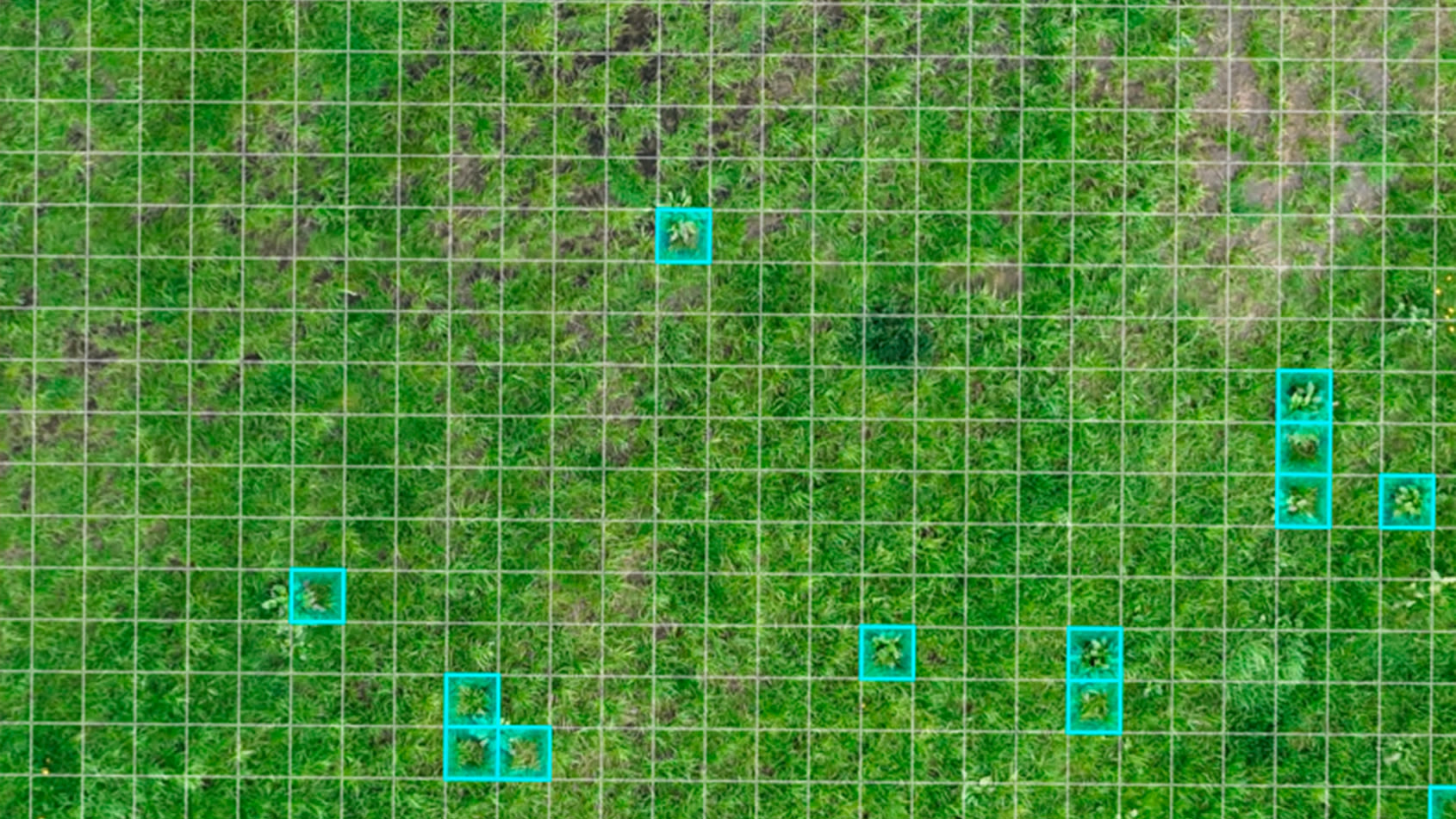 90% herbicide reduction use with PIX4Dfields | Pix4D