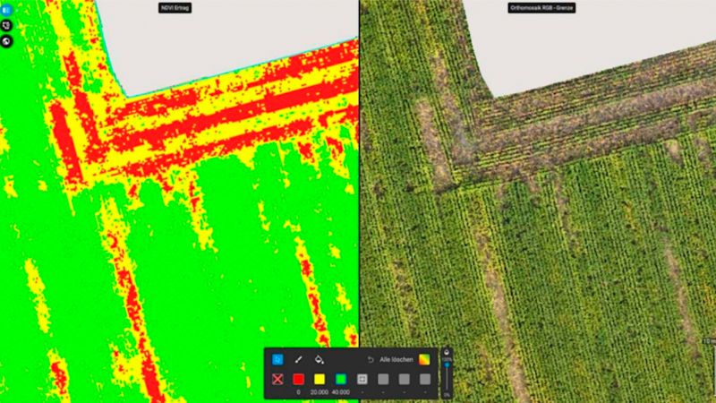 Crop damage assessment on a farmland with PIX4Dfields | Pix4D