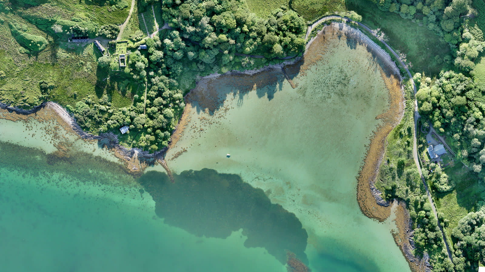 Aerial mapping of coastal ecosystems for restoration | Pix4D