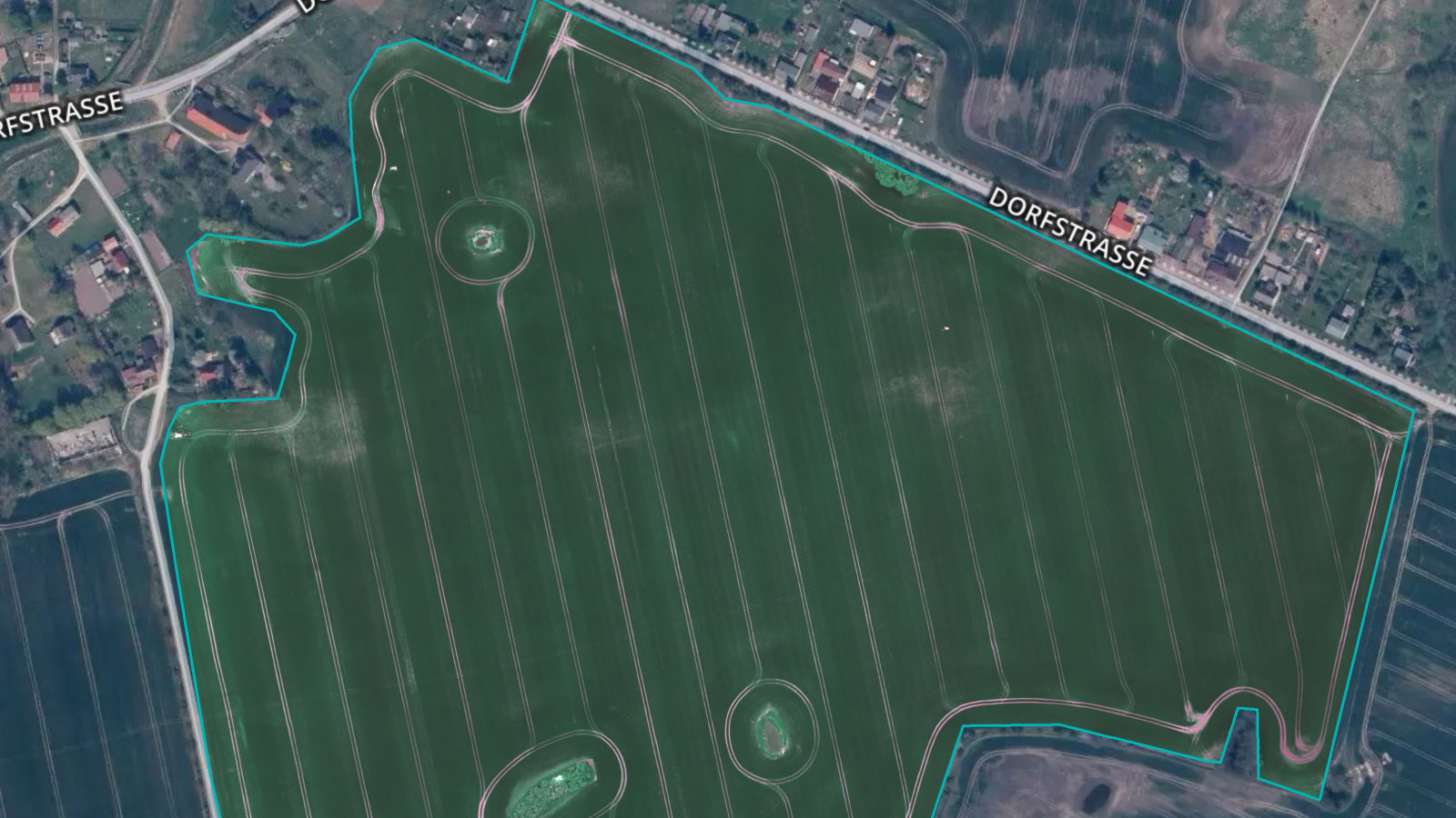 Pix4Dfields: The advanced drone software for agriculture mapping | Pix4D