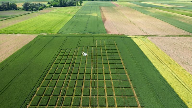 Crop scouting | Pix4D