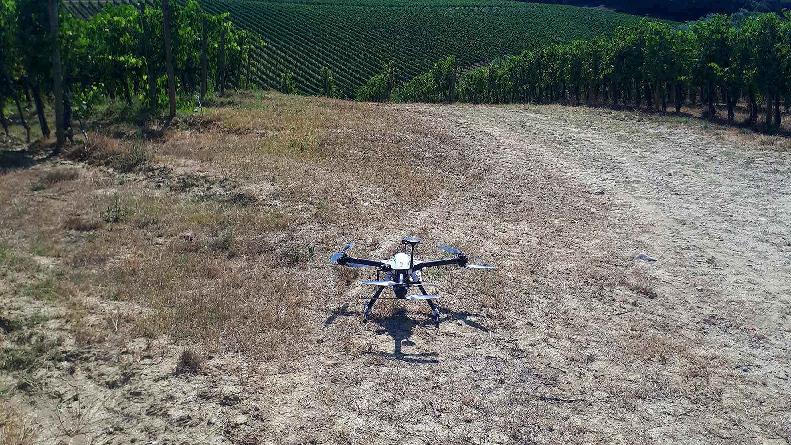 How are drones making a difference in precision viticulture | Pix4D