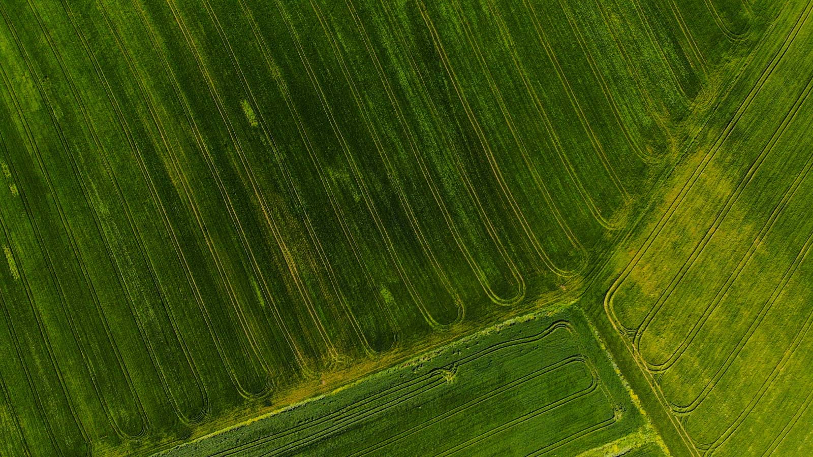 Parrot Bluegrass Fields, the digital farming solution | Pix4D