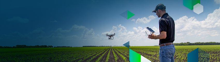 Agricultural drone mapping: crop protection and production | Pix4D