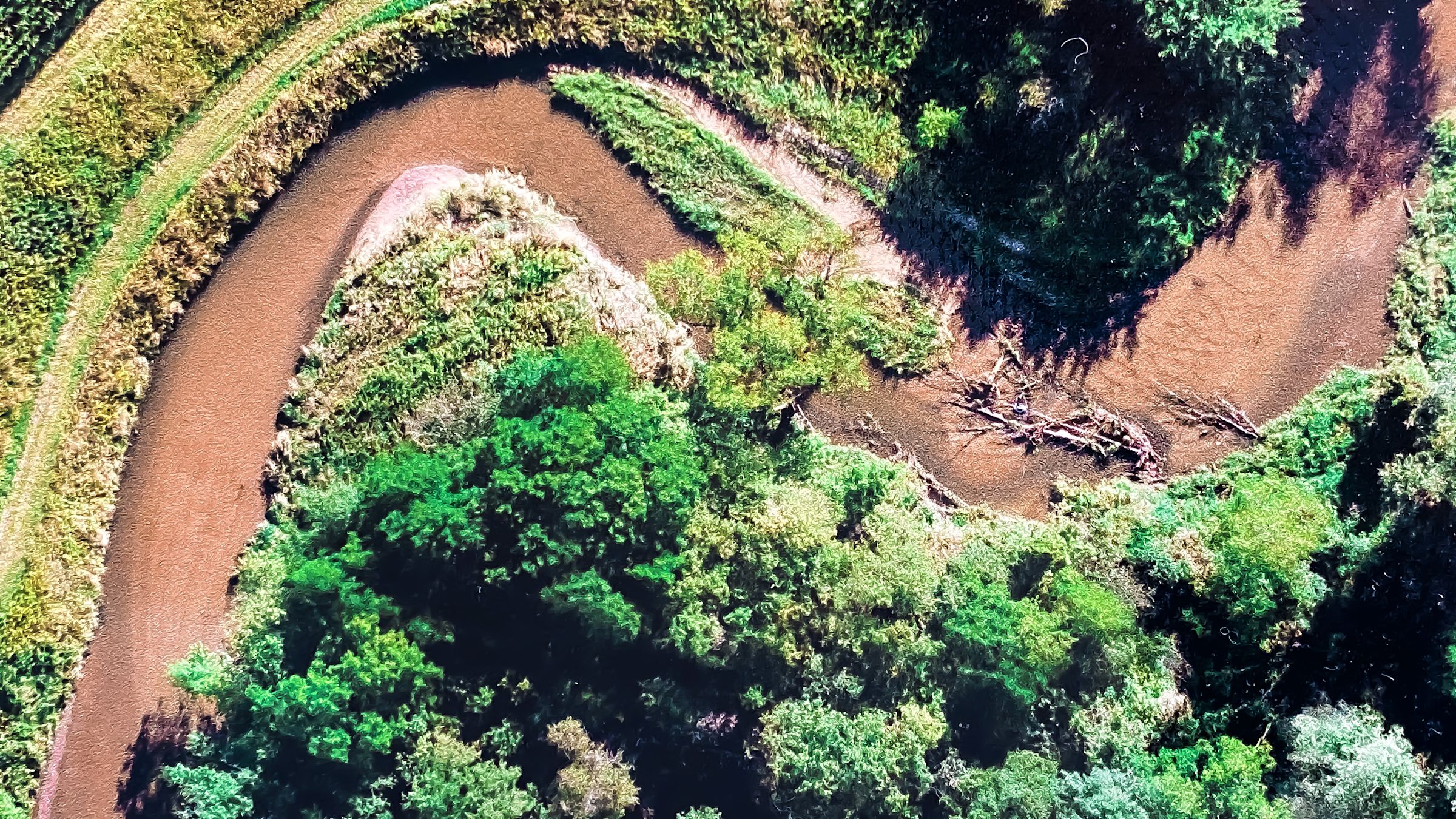 A family farm: commemorating 40 years with a PIX4Dfields map | Pix4D