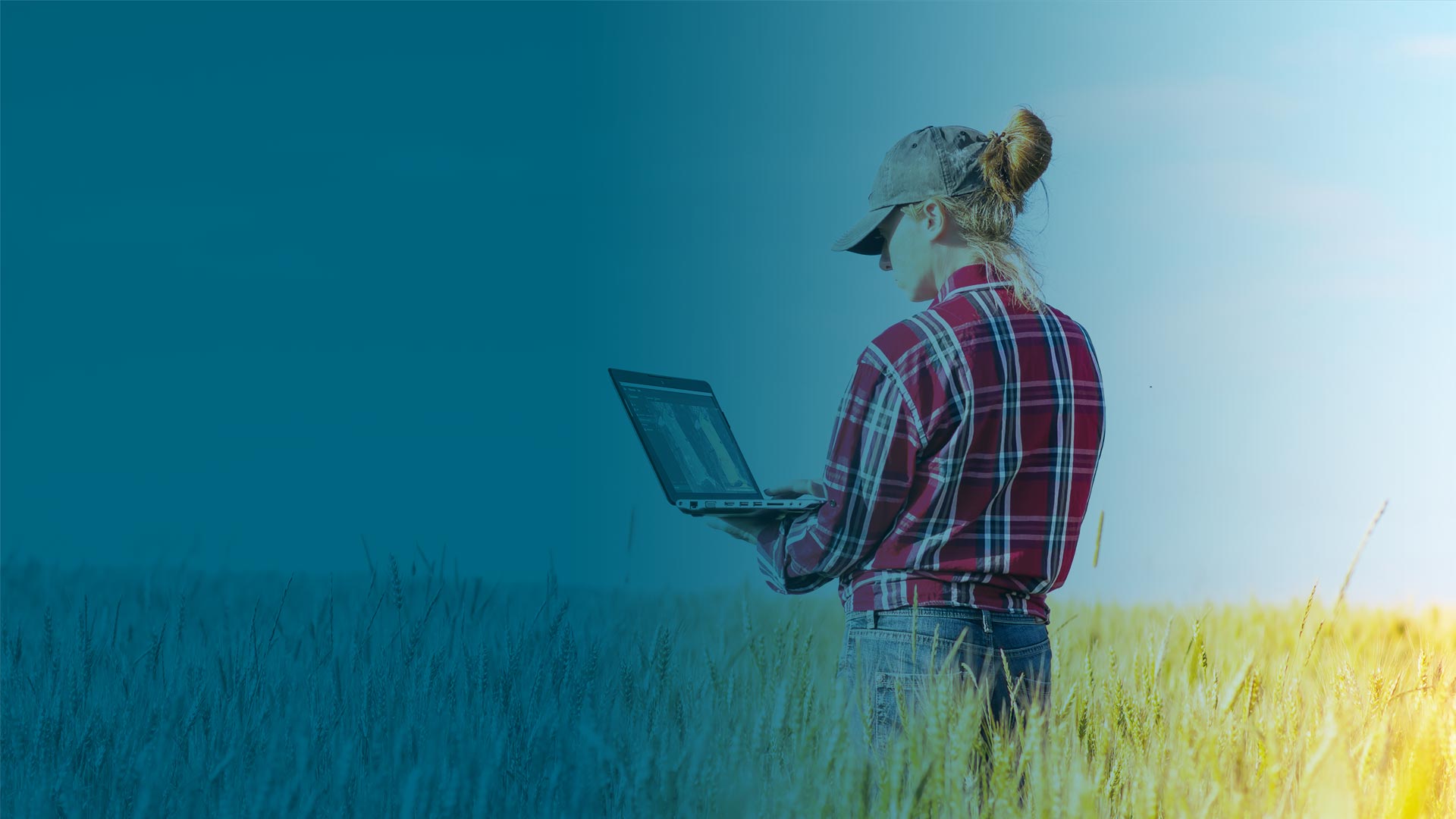 Pix4Dfields: Drone software for agriculture mapping | Pix4D