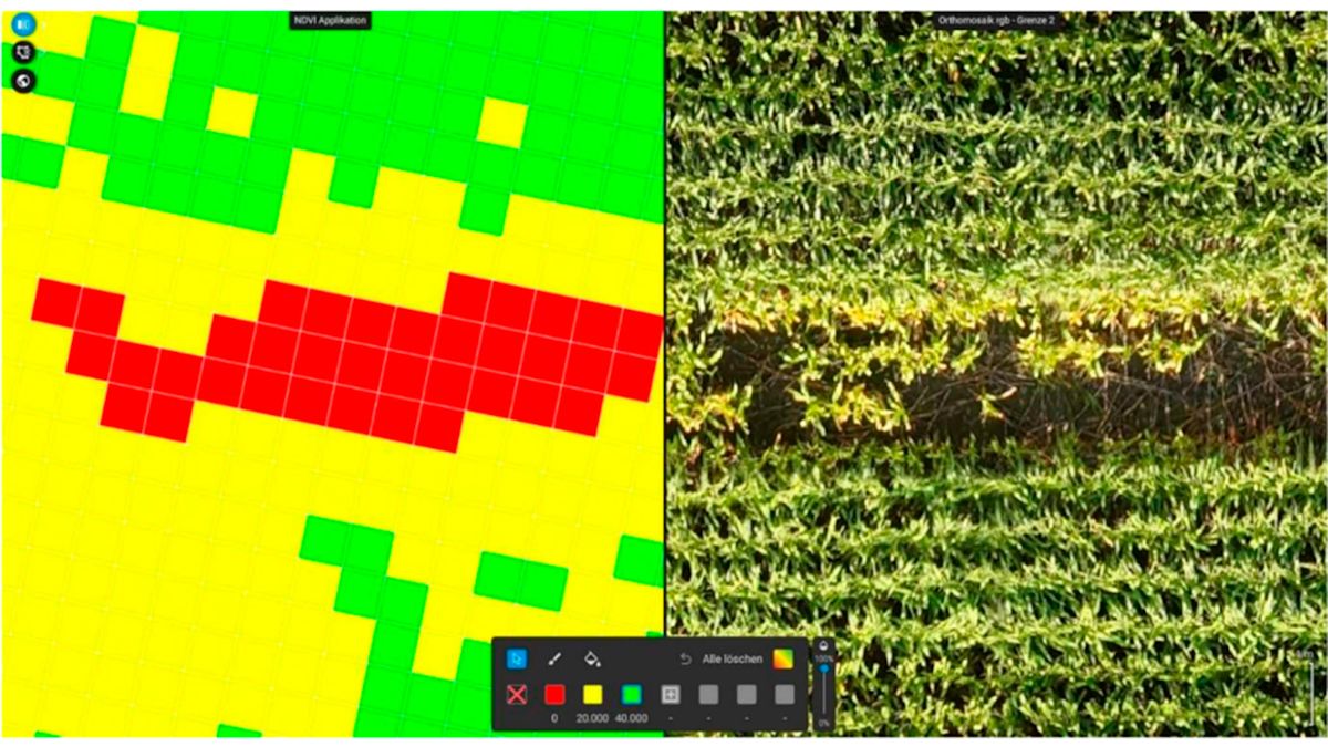 Wildlife damage assessment for crop insurance | Pix4D