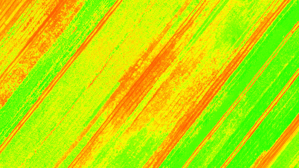 Vegetation indices: a key tool in precision agriculture | Pix4D