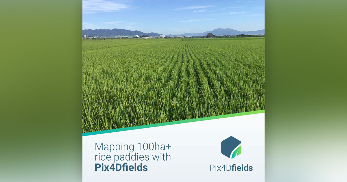 Mapping 100ha+ rice paddies with PIX4Dfields | Pix4D