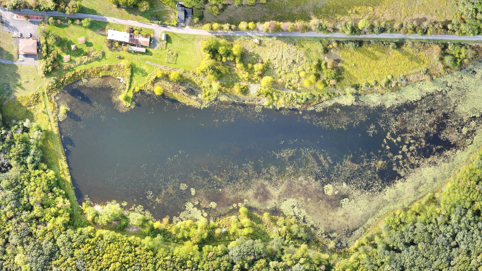Aerially mapping the unprotected wetlands of New York State | Pix4D