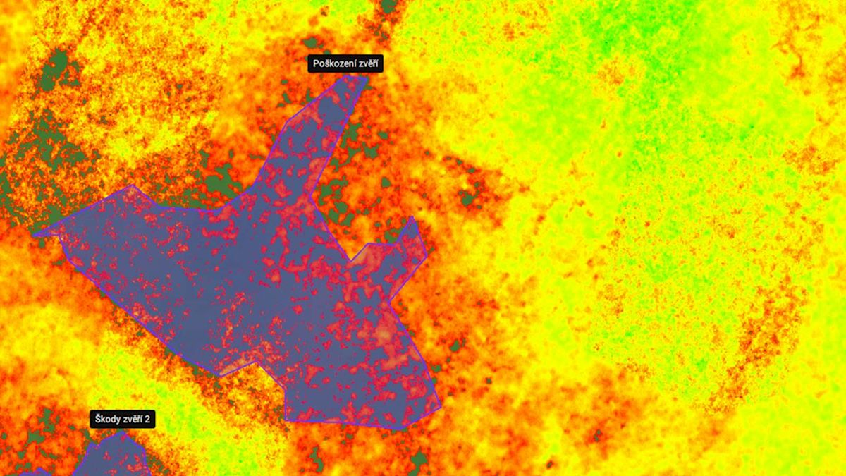 Digitizing crop damage for insurance claims | Pix4D