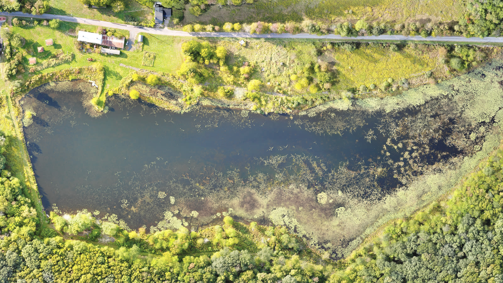 Aerially mapping the unprotected wetlands of New York State | Pix4D