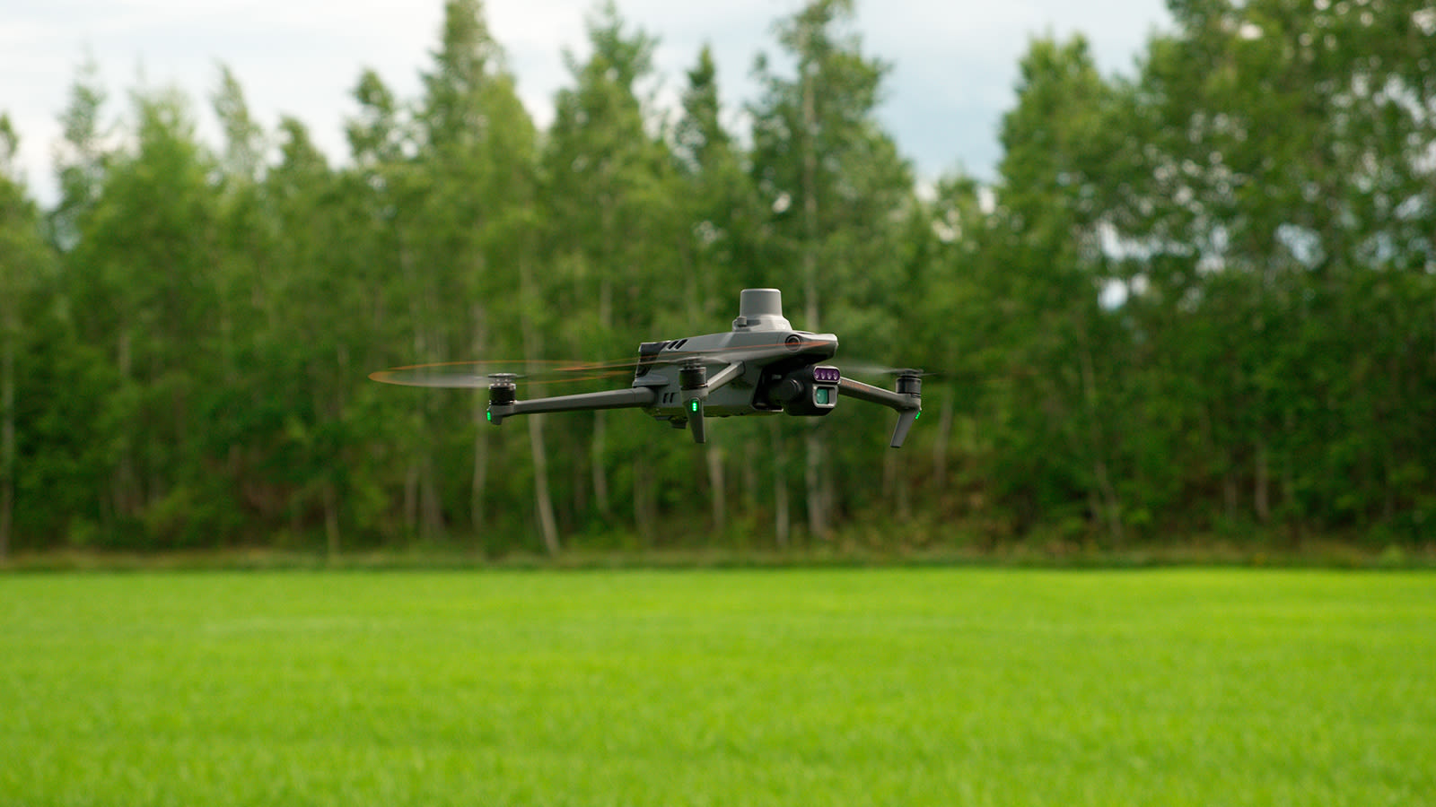 Reducing herbicide and saving costs with PIX4Dfields | Pix4D