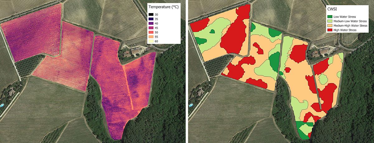 How are drones making a difference in precision viticulture | Pix4D