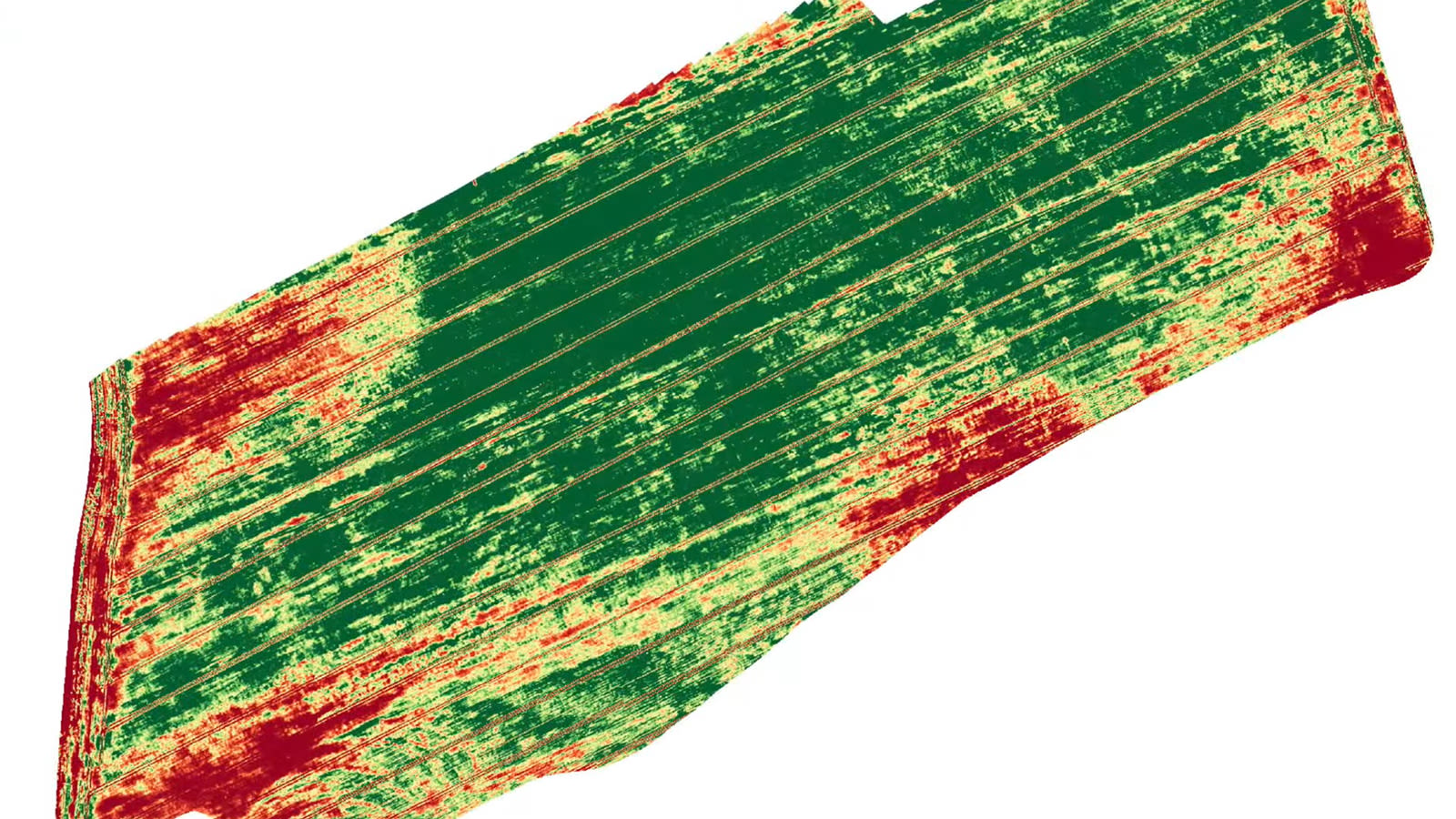 Variable rate application for a wheat crop with PIX4Dfields | Pix4D