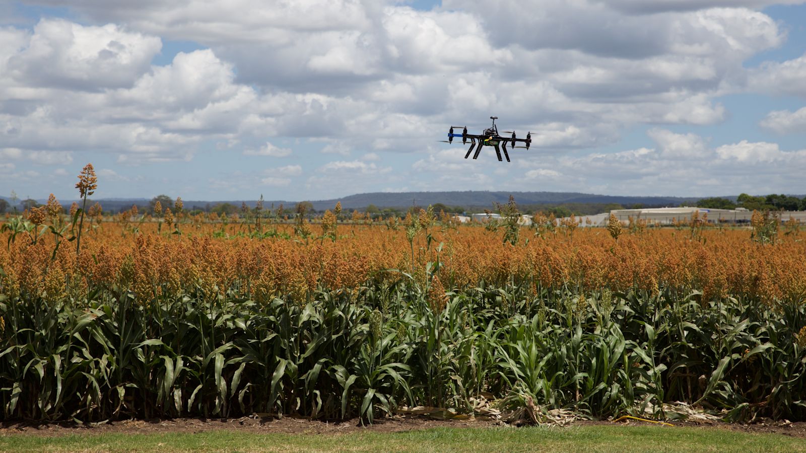 [Webinar] Drone mapping in agriculture | Pix4D