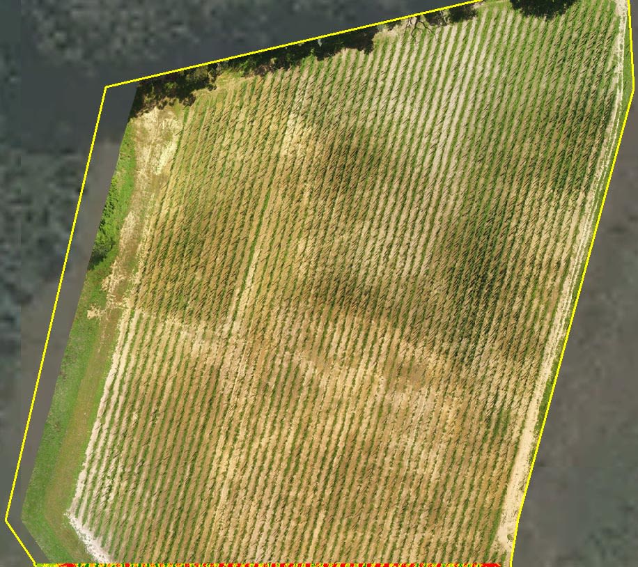 Cheers to precision farming: drone mapping a hop field | Pix4D