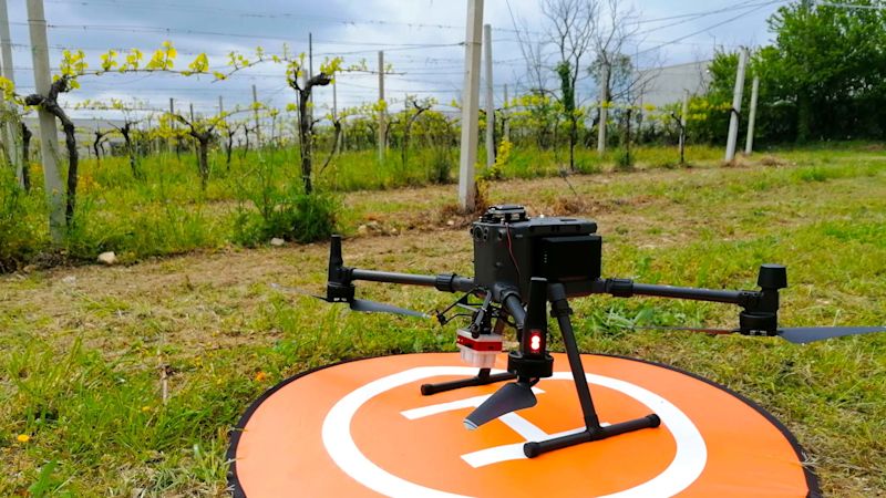 Crop scouting | Pix4D