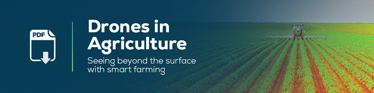 Drones in agriculture: seeing beyond the surface with smart farming | Pix4D