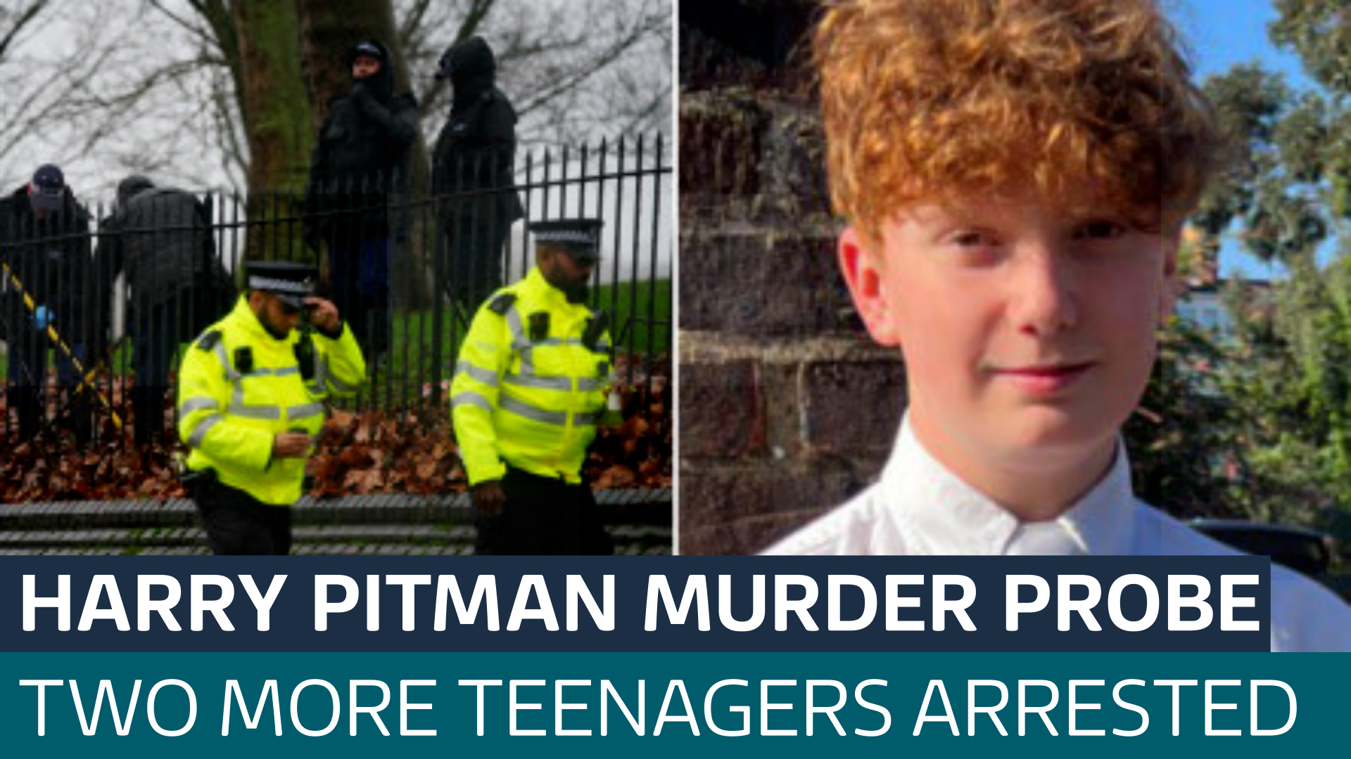 Two teens arrested on suspicion of murder over Harry Pitman New Year's ...