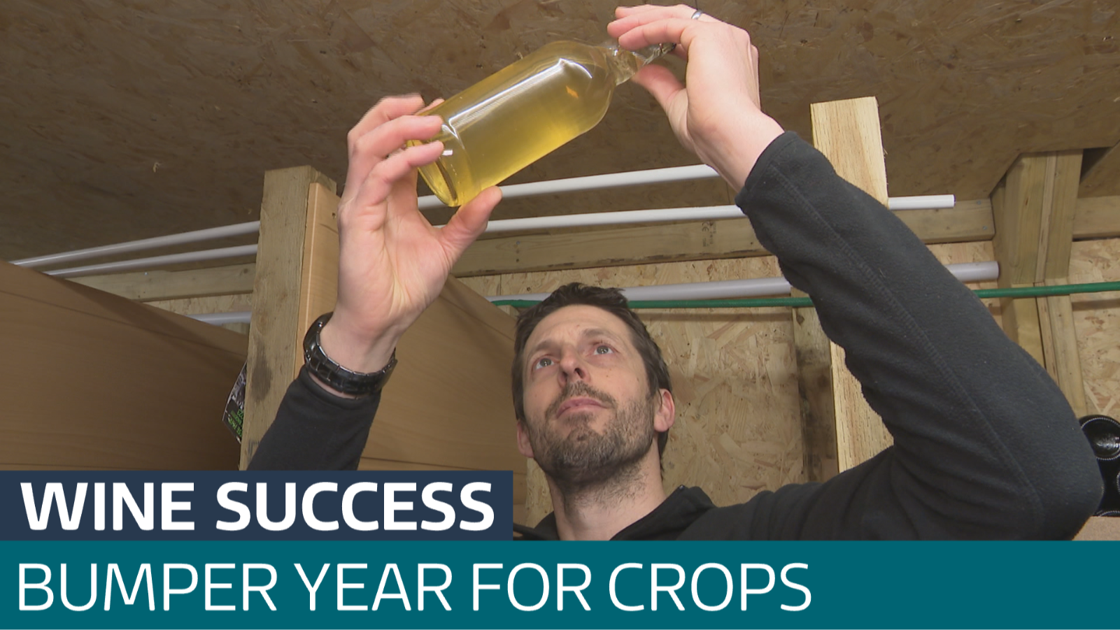 It's been a record breaking year for British wine producers - find out ...