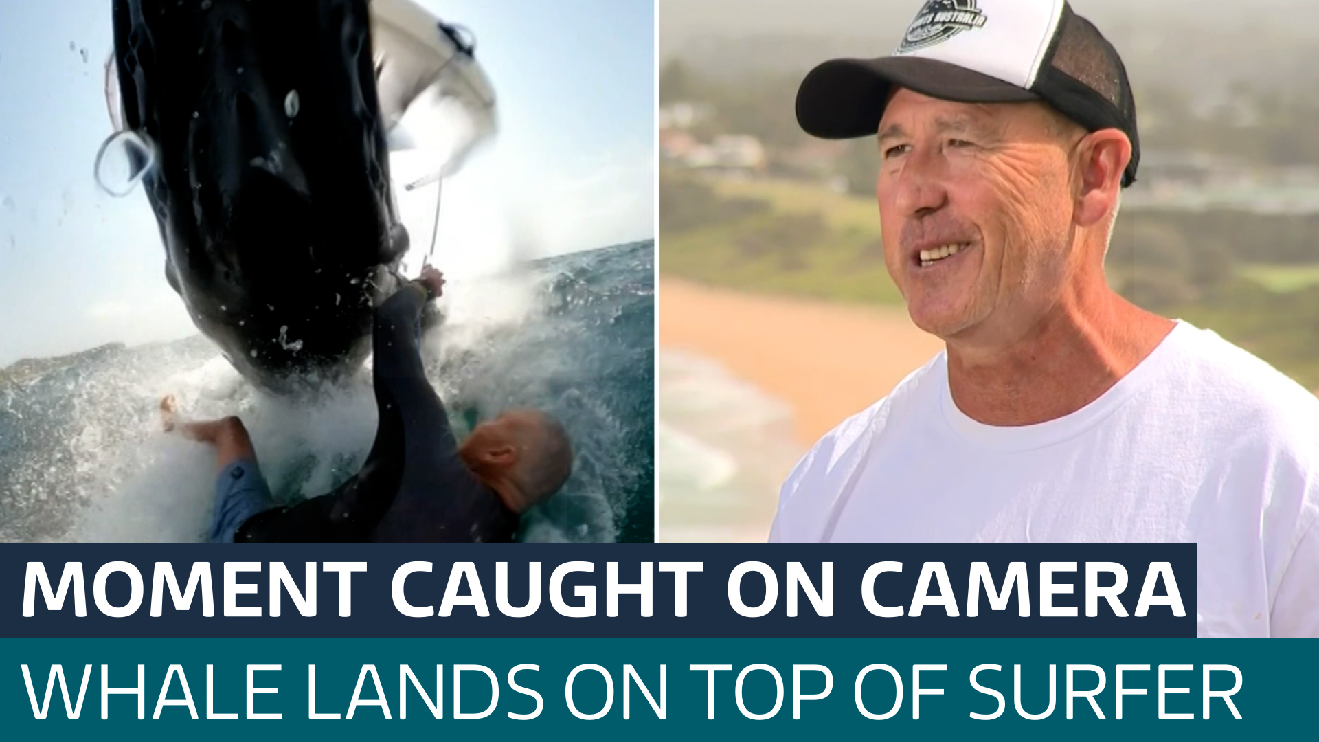 Watch the moment a surfer is hit by a humpback whale and lives to tell ...
