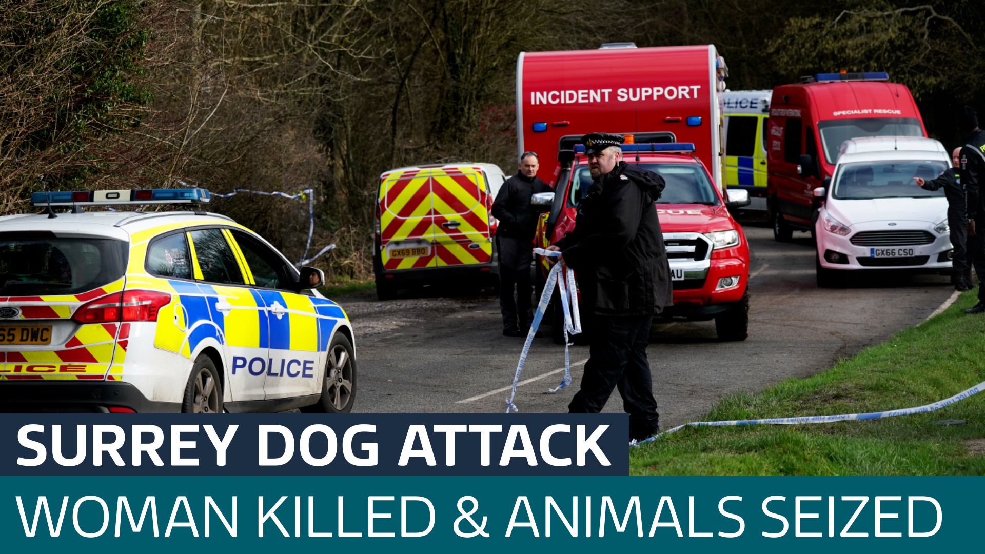 Woman dead and another in hospital following dog attack in Surrey ...