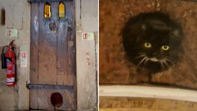 Mystery hole in Exeter Cathedral door thought be 'world's oldest cat ...