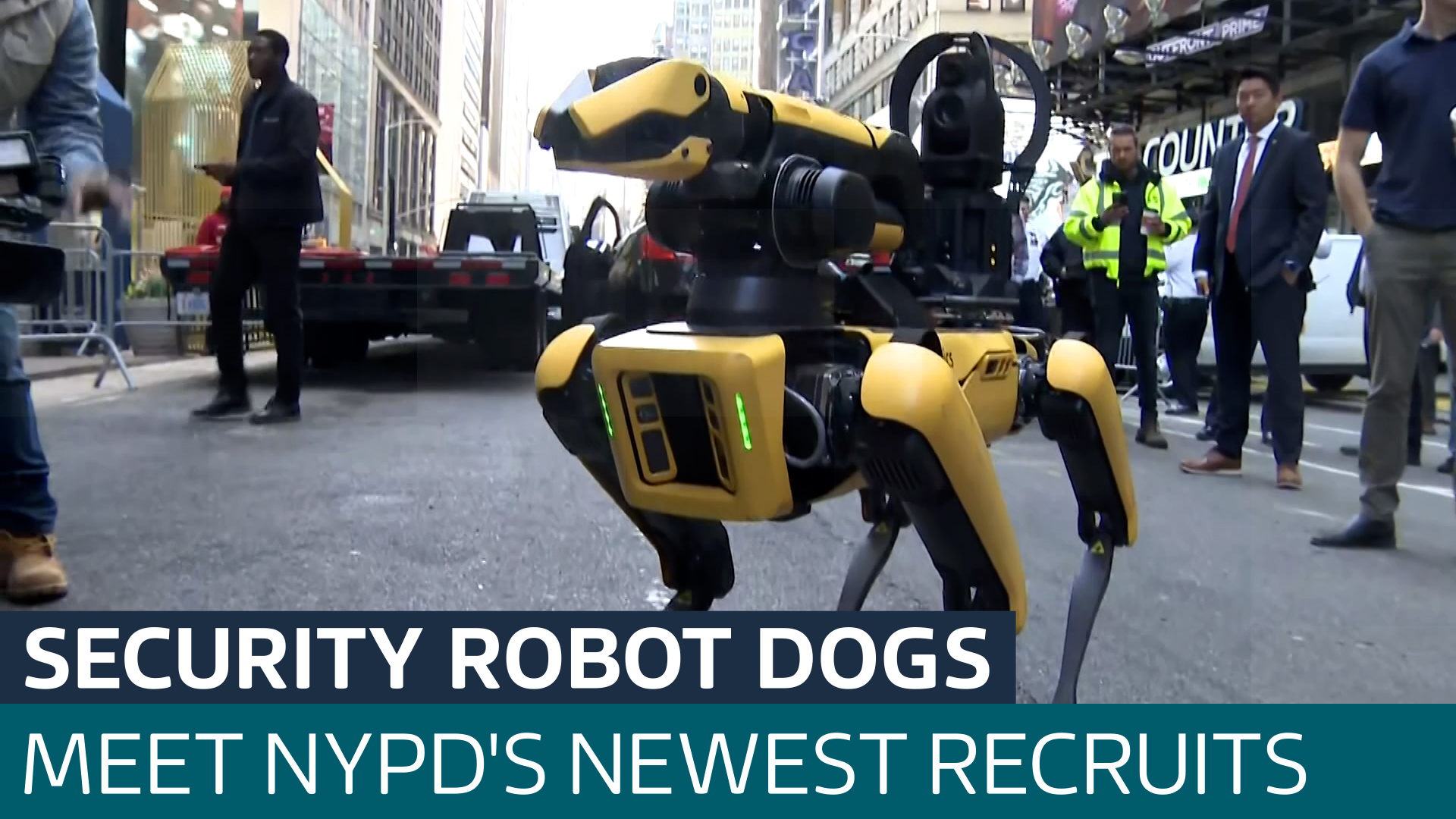 Meet the new 'digi dogs' designed for fighting crime in New York City ...