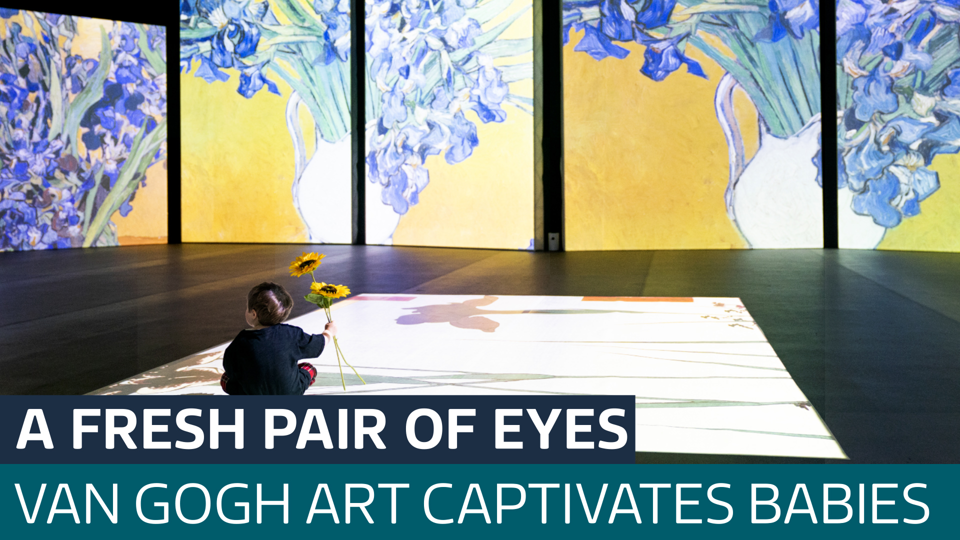 Babies as young as four months can develop penchant for Van Gogh, study ...