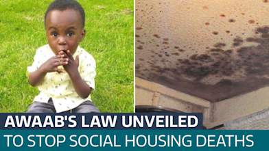 Awaab's law: Family's campaign to prevent more housing deaths gets ...