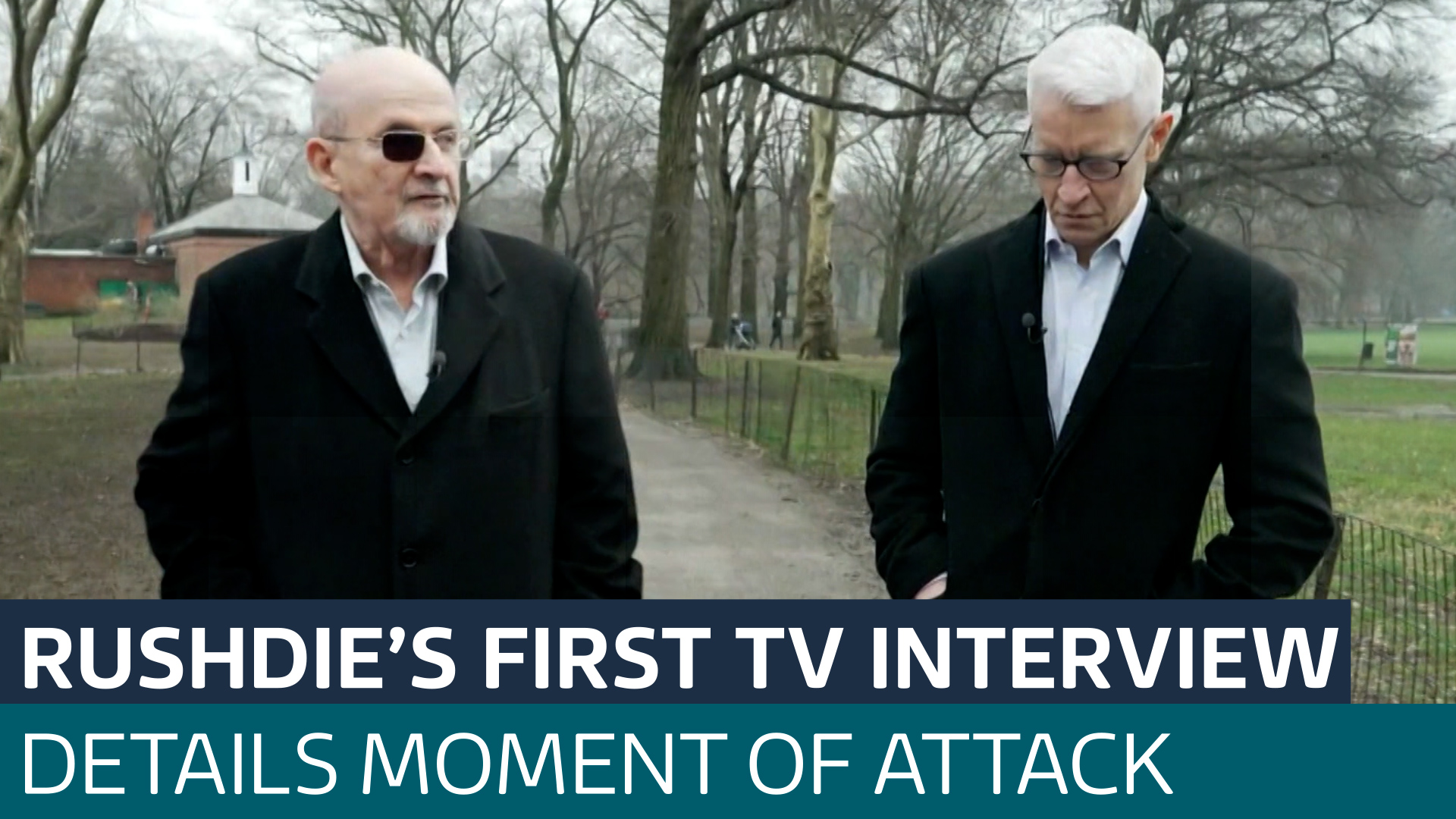 Sir Salman Rushdie details the moment he was stabbed in his first TV ...