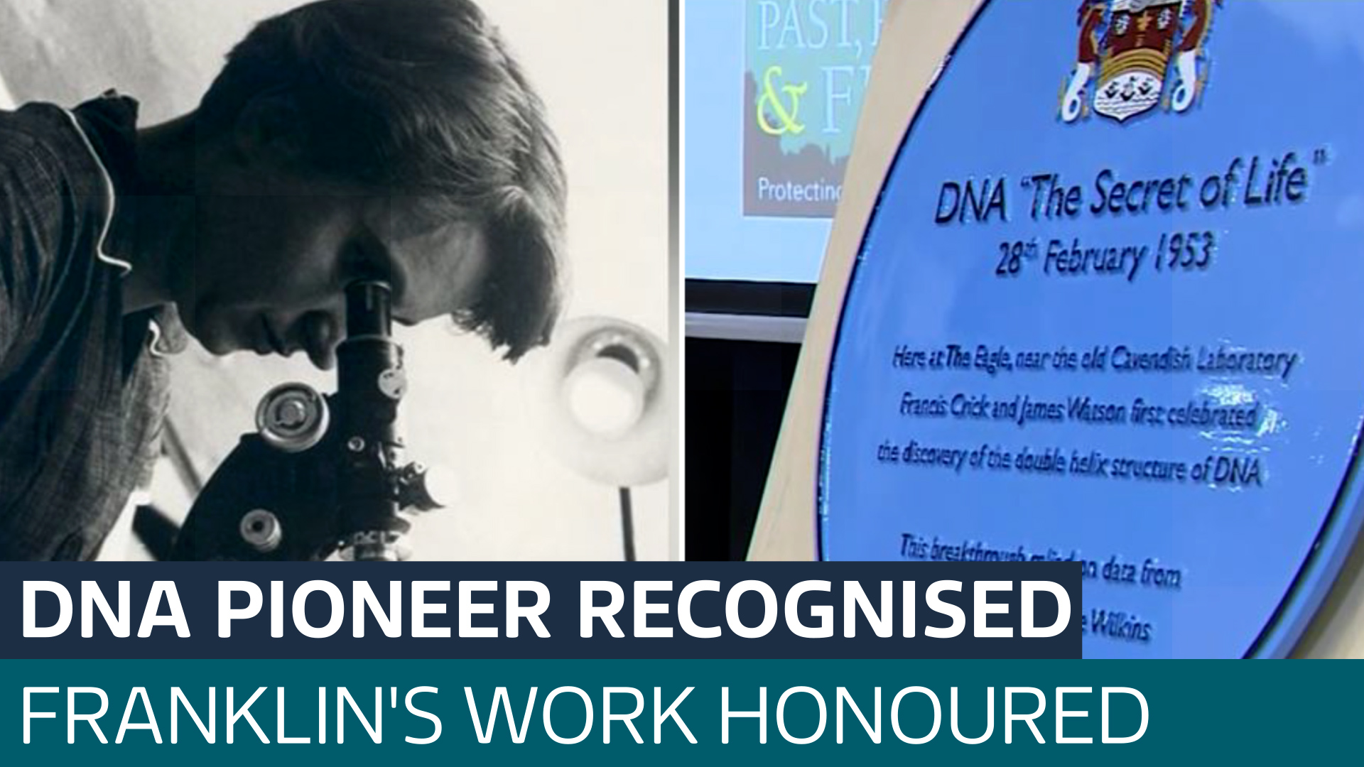 DNA discovery: Work of Rosalind Franklin finally recognised on blue ...