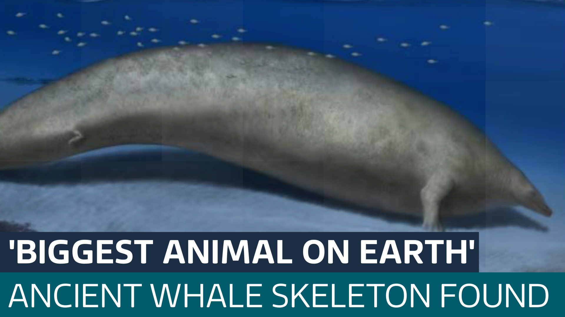 Ancient skeleton found in Peru could be 'heaviest animal that ever ...