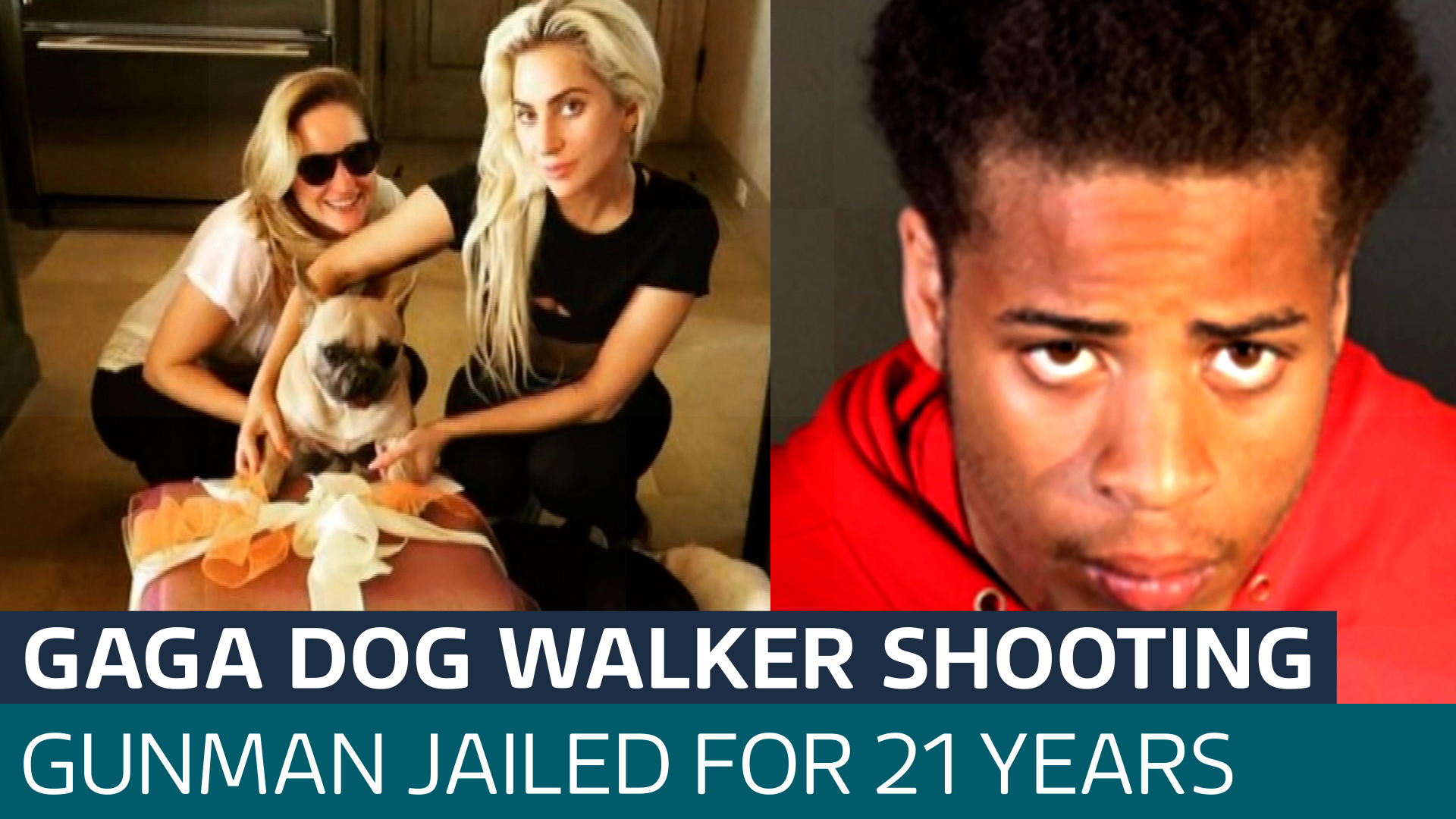 Man who shot Lady Gaga's dogwalker sentenced to 21 years in prison ...