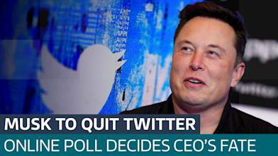 Elon Musk to quit as Twitter boss once he finds a "foolish enough ...