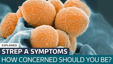 As schools reopen, how can parents and children spot the signs of Strep ...