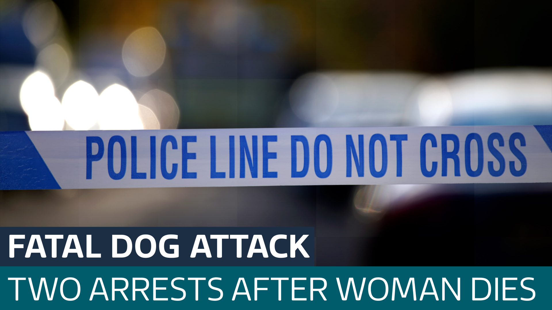 Two arrested after 70-year-old woman dies in dog attack - Latest From ...