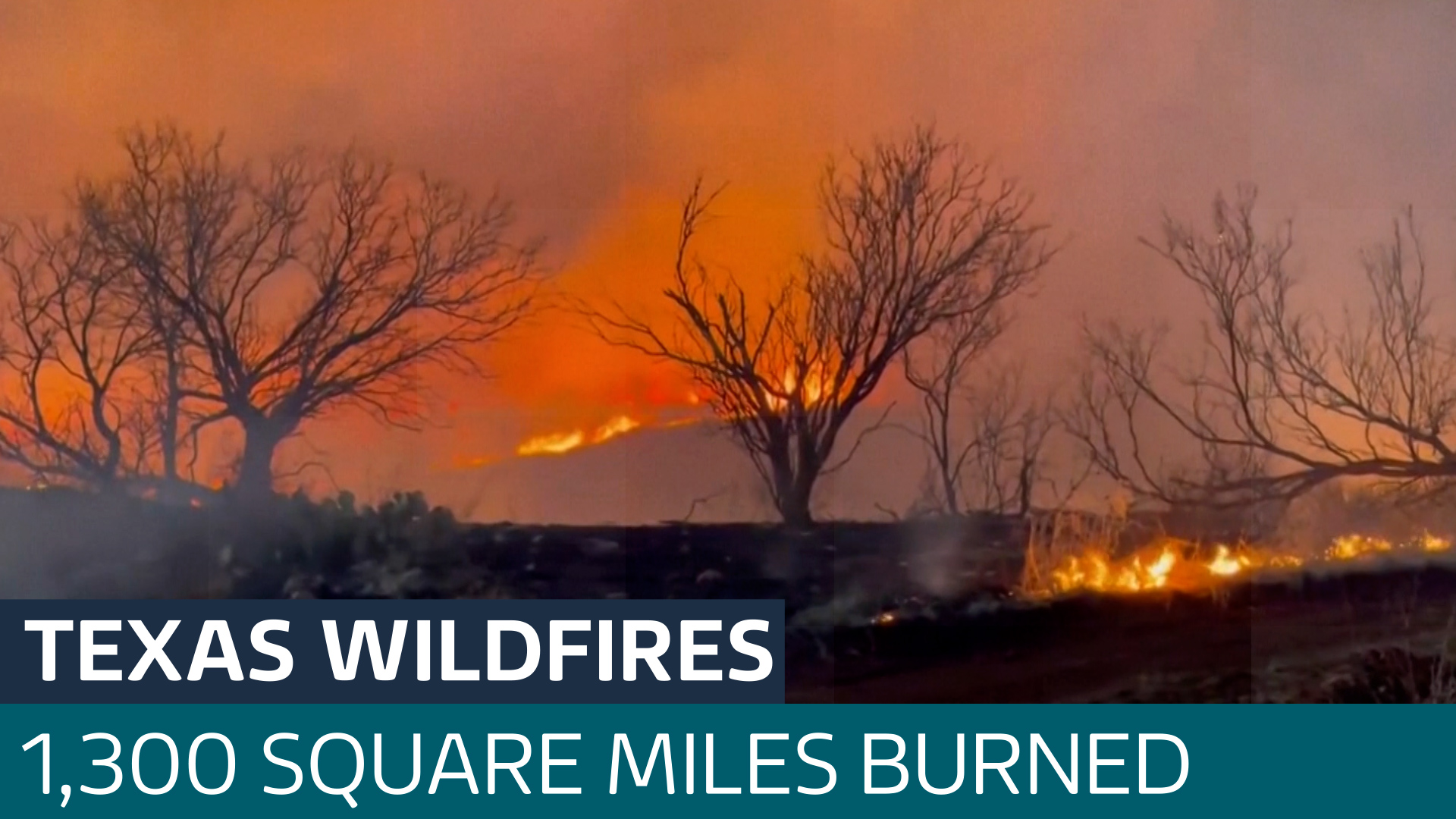 Texas grapples with one of the most devastating wildfires in its ...