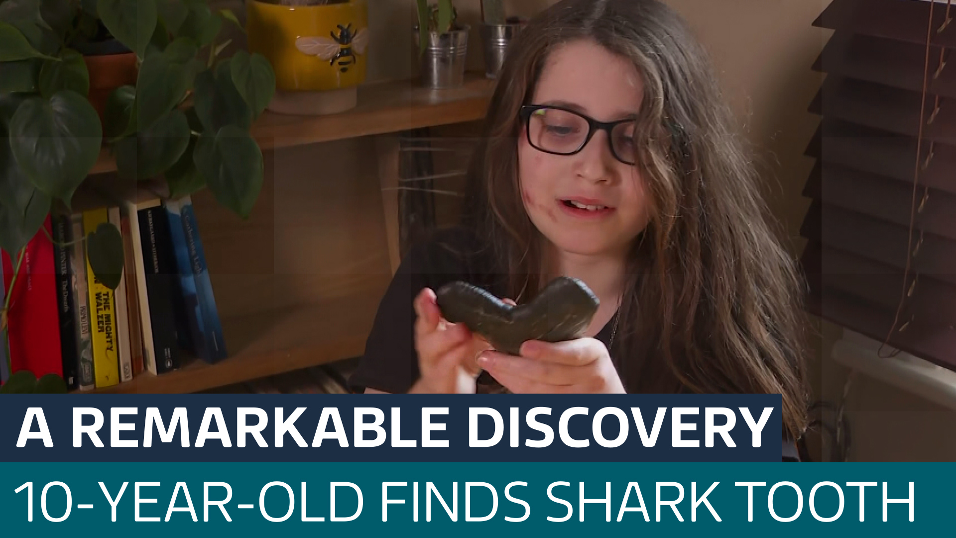 10-year-old girl finds ancient tooth fossil on Suffolk beach - Latest ...