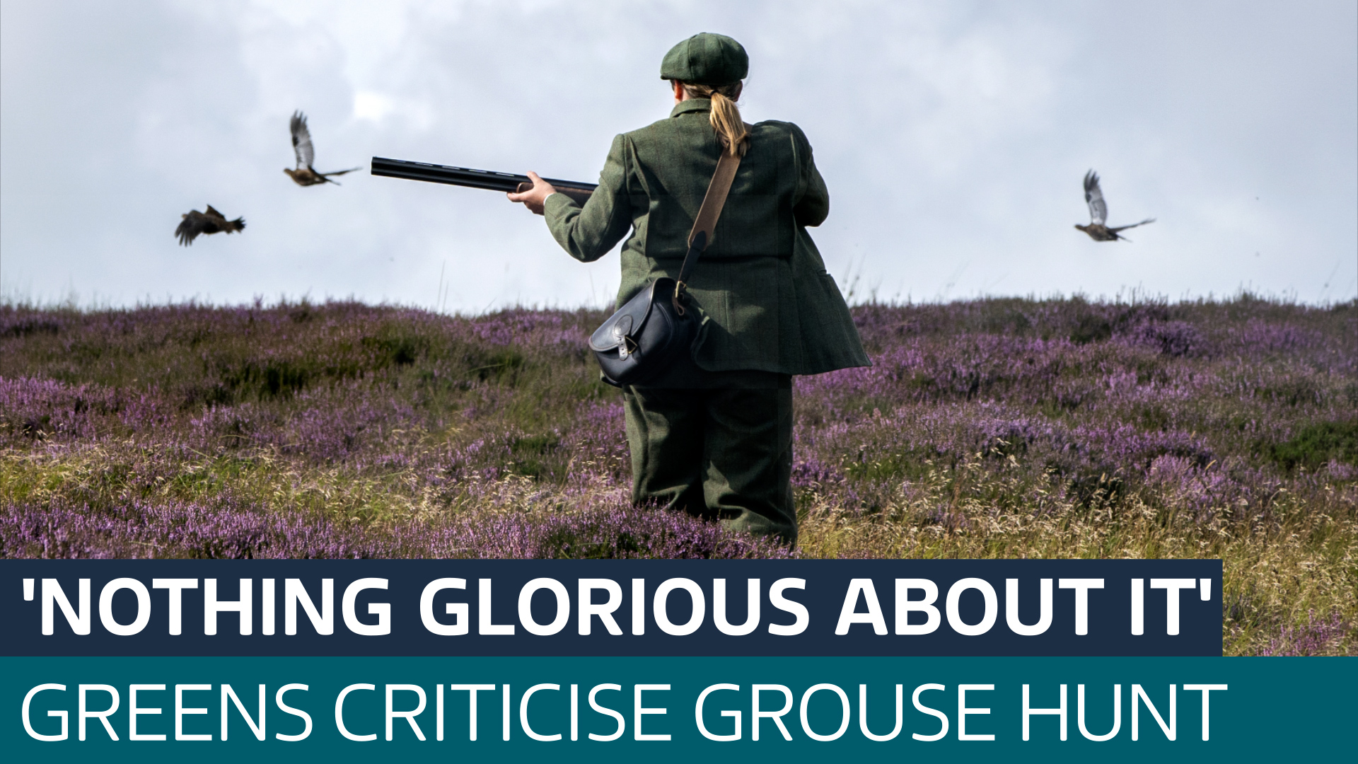 Scottish Greens brand annual 'Glorious 12th' grouse shoot a 'festival ...