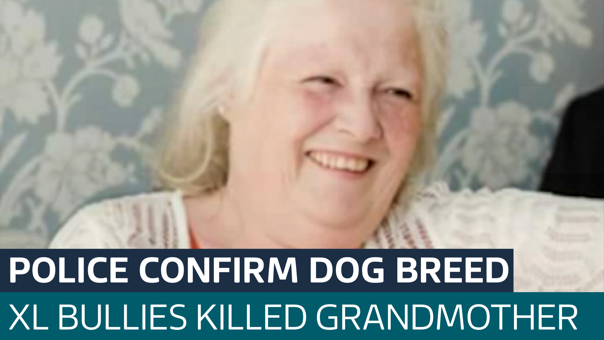 Dogs which mauled grandmother Esther Martin to death were banned XL ...