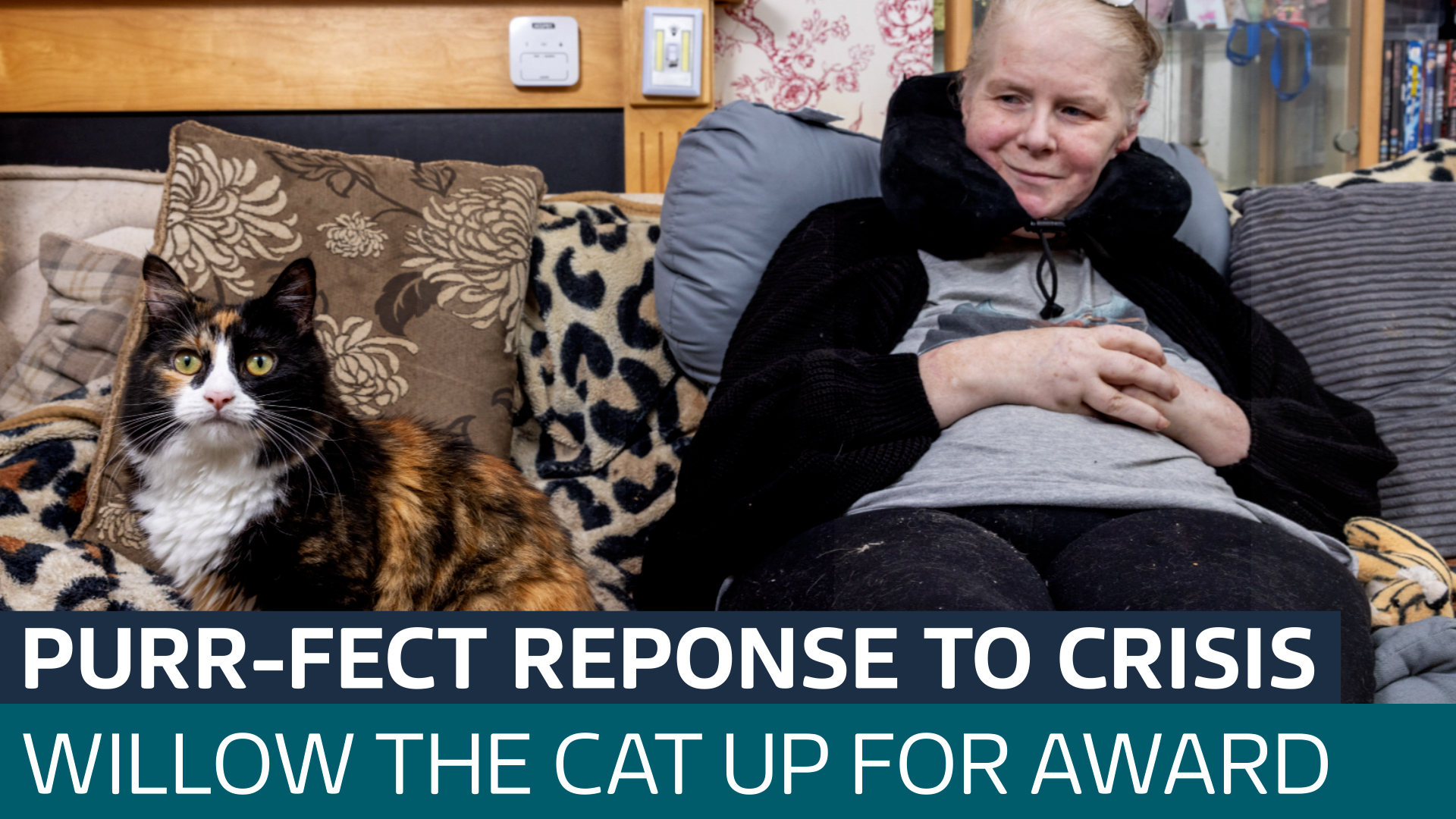 Cat who saved life of diabetic owner shortlisted for National Cat Award ...