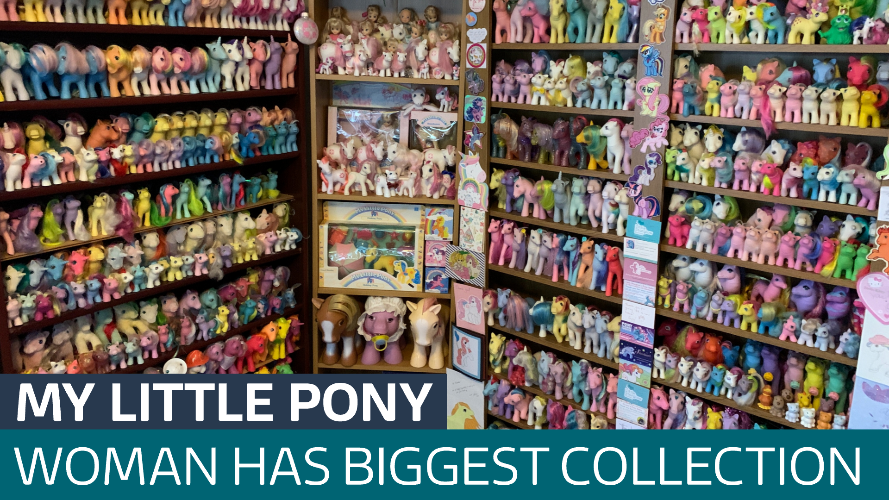 Is this the biggest collection of 'My Little Ponies' in the world ...