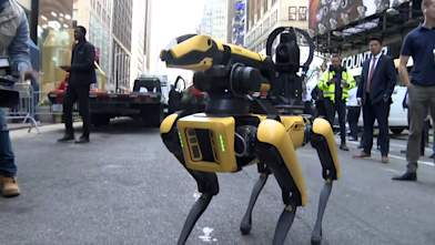 Meet the new 'digi dogs' designed for fighting crime in New York City ...