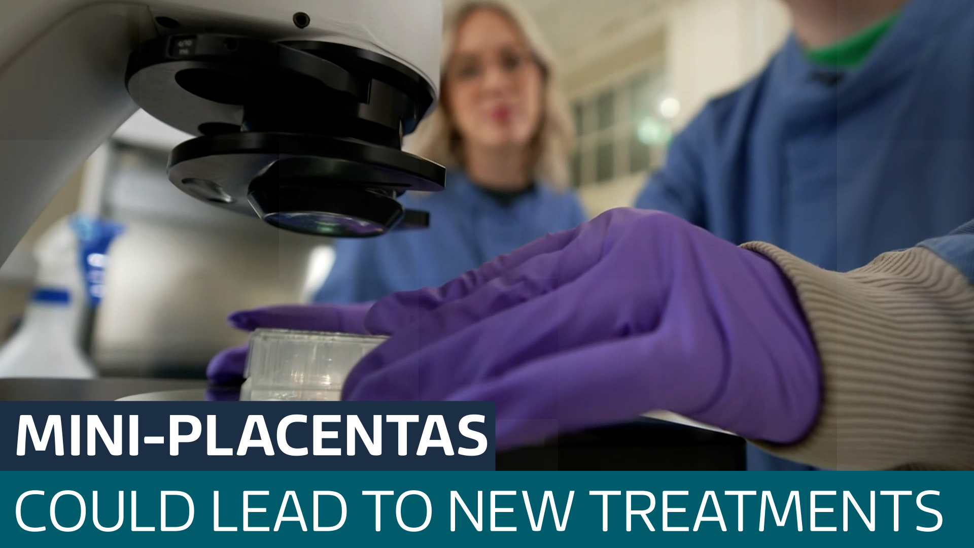 Development of lab-grown mini placentas could lead to new pregnancy ...