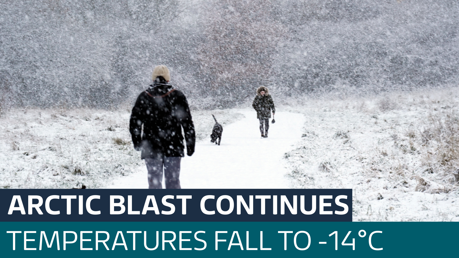 Temperatures fall to minus 14°C on coldest January night in five years ...